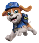 Wheeler/Gallery | PAW Patrol Wiki | Fandom