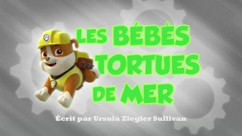 Pups Save the Sea Turtles | PAW Patrol Wiki | Fandom