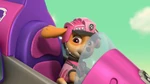 Skye/Gallery/Dino Rescue: Pups Save a T-Rex Tyke | PAW Patrol Wiki | Fandom