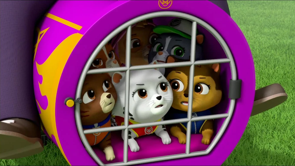 Cat Skye/Gallery/Pups Save the Shivering Sheep | PAW Patrol Wiki | Fandom
