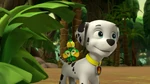 Marshall/Gallery/Pups Save the Maze Explorers | PAW Patrol Wiki | Fandom