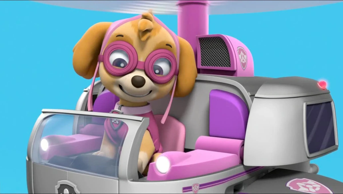Skye/Gallery/Pups Save the Shivering Sheep | PAW Patrol Wiki | Fandom
