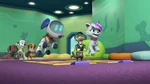 Roxi/Gallery | PAW Patrol Wiki | Fandom