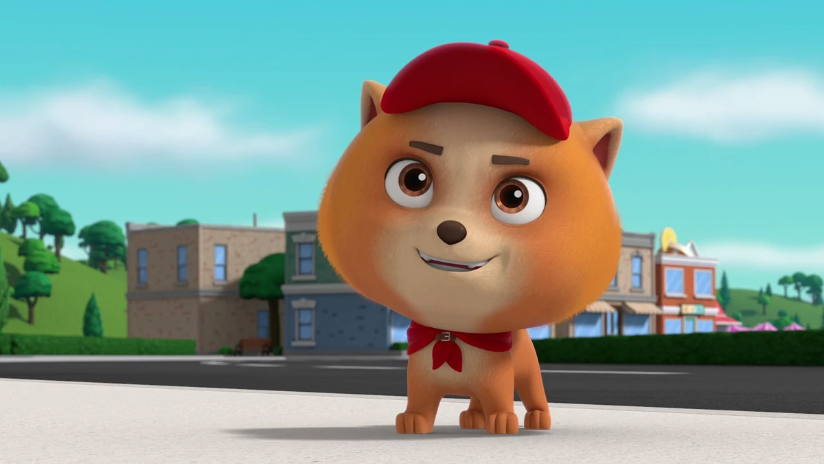 Tot/Trivia | PAW Patrol Wiki | Fandom