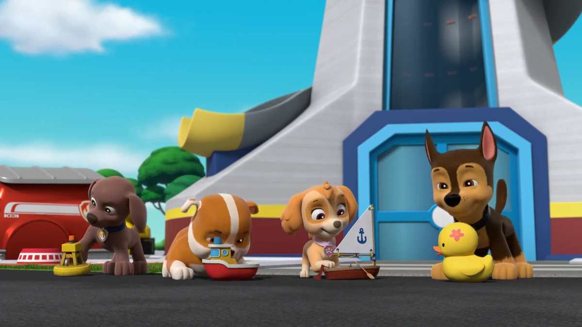 Skye/Gallery/Pups Save a Lonesome Walrus | PAW Patrol Wiki | Fandom