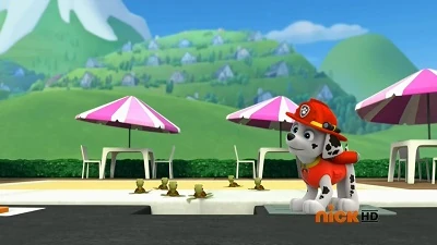 Turtles/Gallery/Pups Save the Sea Turtles | PAW Patrol Wiki | Fandom