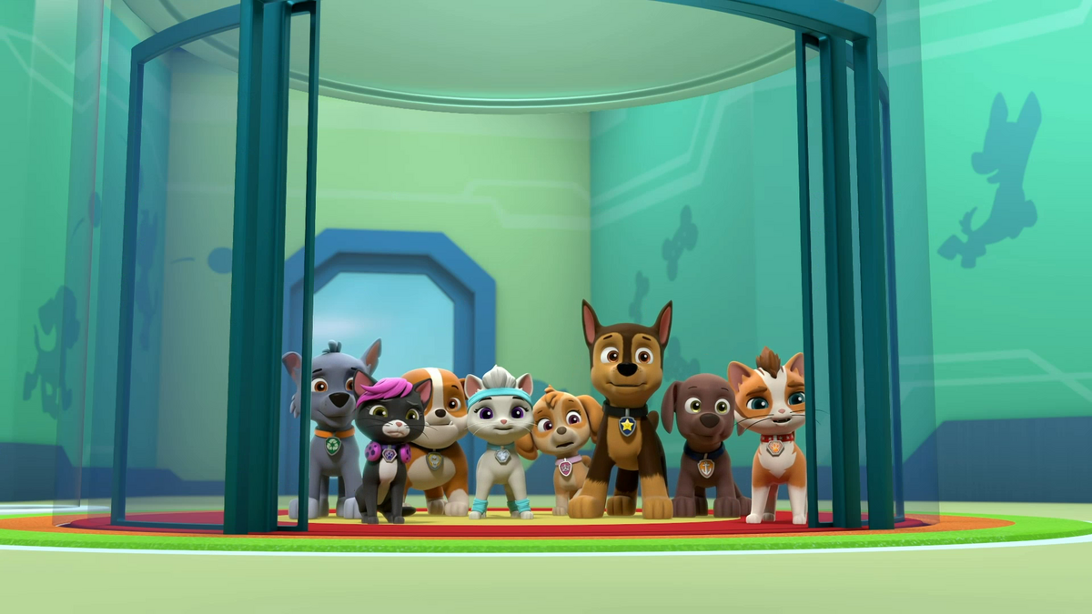 Zumagallerycat Pack Pups And Cats Save Humcatdingerman Paw Patrol