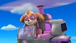 Skye/Gallery/Pups Save the Turbots | PAW Patrol Wiki | Fandom