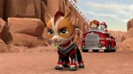 Wild/Gallery/Moto Pups: Pups vs. the Ruff-Ruff Pack | PAW Patrol Wiki ...
