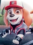 Al (pup)/Gallery | PAW Patrol Wiki | Fandom