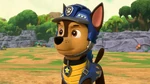 Chase/Gallery/Dino Rescue: Pups Save a T-Rex Tyke | PAW Patrol Wiki ...