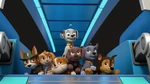Skye/Gallery/Jungle Pups: Pups Save a Golden Sweetie | PAW Patrol Wiki ...