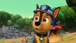 Chase/Gallery/Dino Rescue: Pups Save a T-Rex Tyke | PAW Patrol Wiki ...
