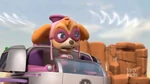 Skye/Gallery/Pups Save the Dizzy Dust Express | PAW Patrol Wiki | Fandom