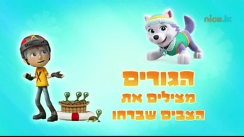 Pups Save the Runaway Turtles | PAW Patrol Wiki | Fandom