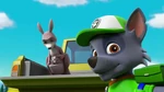 Rocky/Gallery/Pups Save a Roo | PAW Patrol Wiki | Fandom