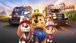 Al (pup)/Gallery | PAW Patrol Wiki | Fandom