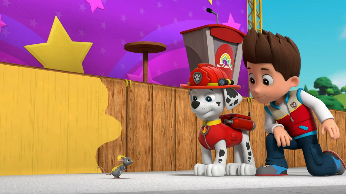 Rydergallerycat Pack Pups And Cats Save Humcatdingerman Paw Patrol