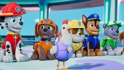 Pups Plus a Plucky Chicken/Trivia | PAW Patrol Wiki | Fandom