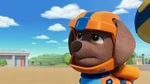Pups Save the Sea Sponges/Gallery | PAW Patrol Wiki | Fandom