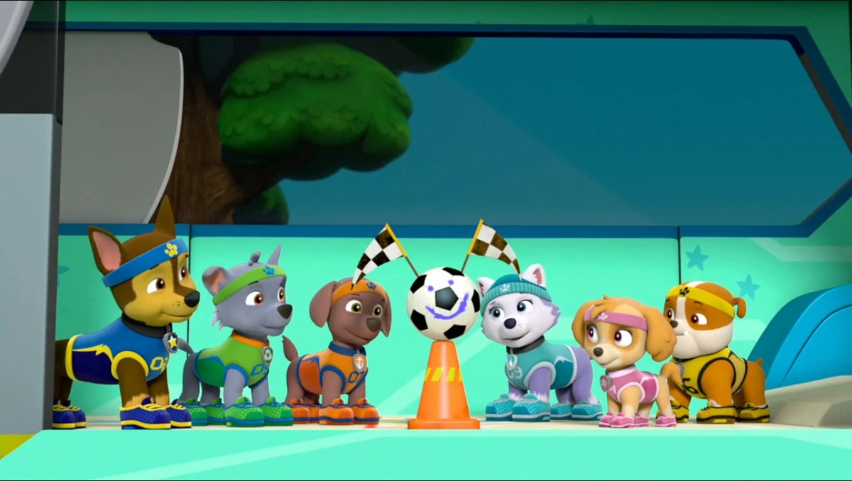 Zuma/Gallery/All Star Pups! | PAW Patrol Wiki | Fandom
