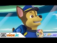 Chase/Videos | PAW Patrol Wiki | Fandom