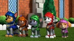 Skye/Gallery/Rescue Knights: Pups Save a Dozing Dragon | PAW Patrol ...