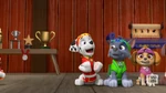 Skye/Gallery/Pup-Fu! | PAW Patrol Wiki | Fandom