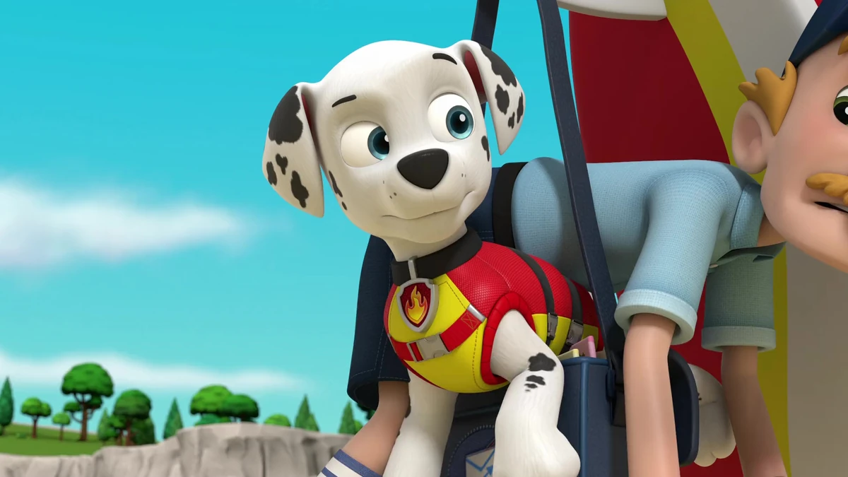 Mailman/Gallery/Sea Patrol: Pups Save a Windsurfer | PAW Patrol Wiki ...