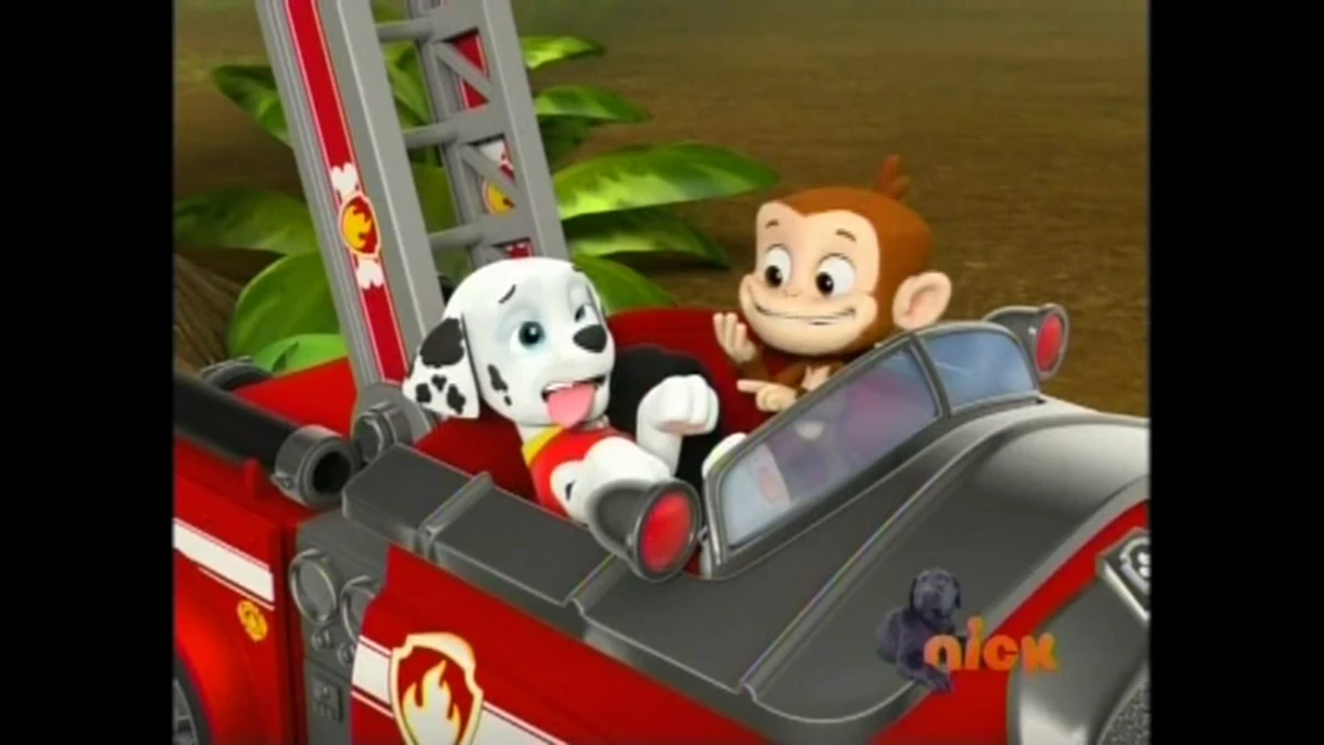 Mandy/Gallery/Pups Save the Parrot | PAW Patrol Wiki | Fandom