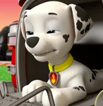 Marshall/Gallery/Pups Save Tiny Marshall | PAW Patrol Wiki | Fandom