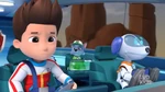 Pups Save the Dizzy Dust Express/Gallery | PAW Patrol Wiki | Fandom