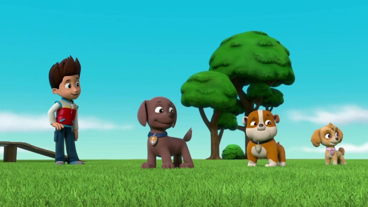 Skye/Gallery/Pups Save a Roo | PAW Patrol Wiki | Fandom