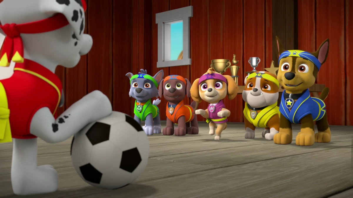 Rubble/Gallery/Pups Save Sensei Yumi | PAW Patrol Wiki | Fandom