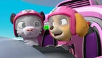 Skye/Gallery/Ultimate Rescue: Pups Save the Tigers | PAW Patrol Wiki ...