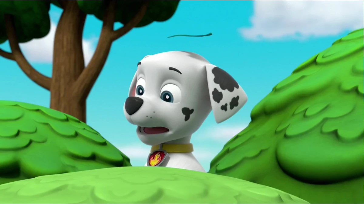 Marshall/Gallery/Pups Save a Show Jumper | PAW Patrol Wiki | Fandom
