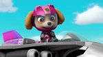 Skye/Gallery/Moto Pups: Pups vs. the Ruff-Ruff Pack | PAW Patrol Wiki ...