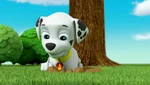 Pups Save Tiny Marshall/Gallery | PAW Patrol Wiki | Fandom