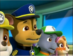 Chase/Gallery/Pups Save Ryder | PAW Patrol Wiki | Fandom