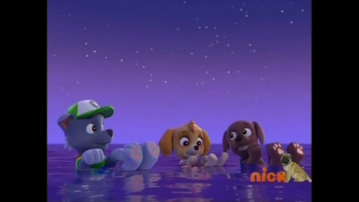 Zuma/Gallery/Pups Save a Mer-Pup | PAW Patrol Wiki | Fandom