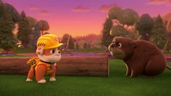 Crunchy/Appearances | PAW Patrol Wiki | Fandom
