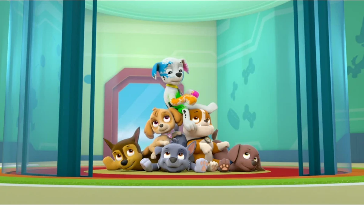 Rocky/Gallery/Pups Save Jake's Cake | PAW Patrol Wiki | Fandom
