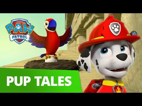 Pups Save the Parrot/Videos | PAW Patrol Wiki | Fandom