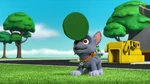 Rocky/Gallery/Pups Stop a Pie-Clone | PAW Patrol Wiki | Fandom