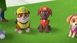 Skye/Gallery/Pups Save a Toof | PAW Patrol Wiki | Fandom