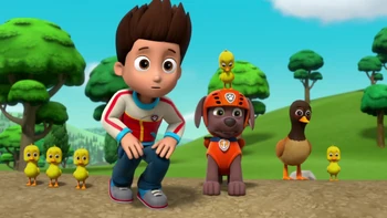 Ducks | PAW Patrol Wiki | Fandom