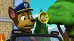 Chase/Gallery/Pups Stop a Pie-Clone | PAW Patrol Wiki | Fandom