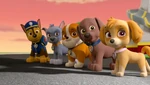 Pups Save Tiny Marshall/Gallery | PAW Patrol Wiki | Fandom