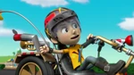 Danny/Gallery/Pups Save Daring Danny X | PAW Patrol Wiki | Fandom