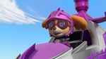 Skye/Gallery/Rescue Knights: Pups Save a Dozing Dragon | PAW Patrol ...
